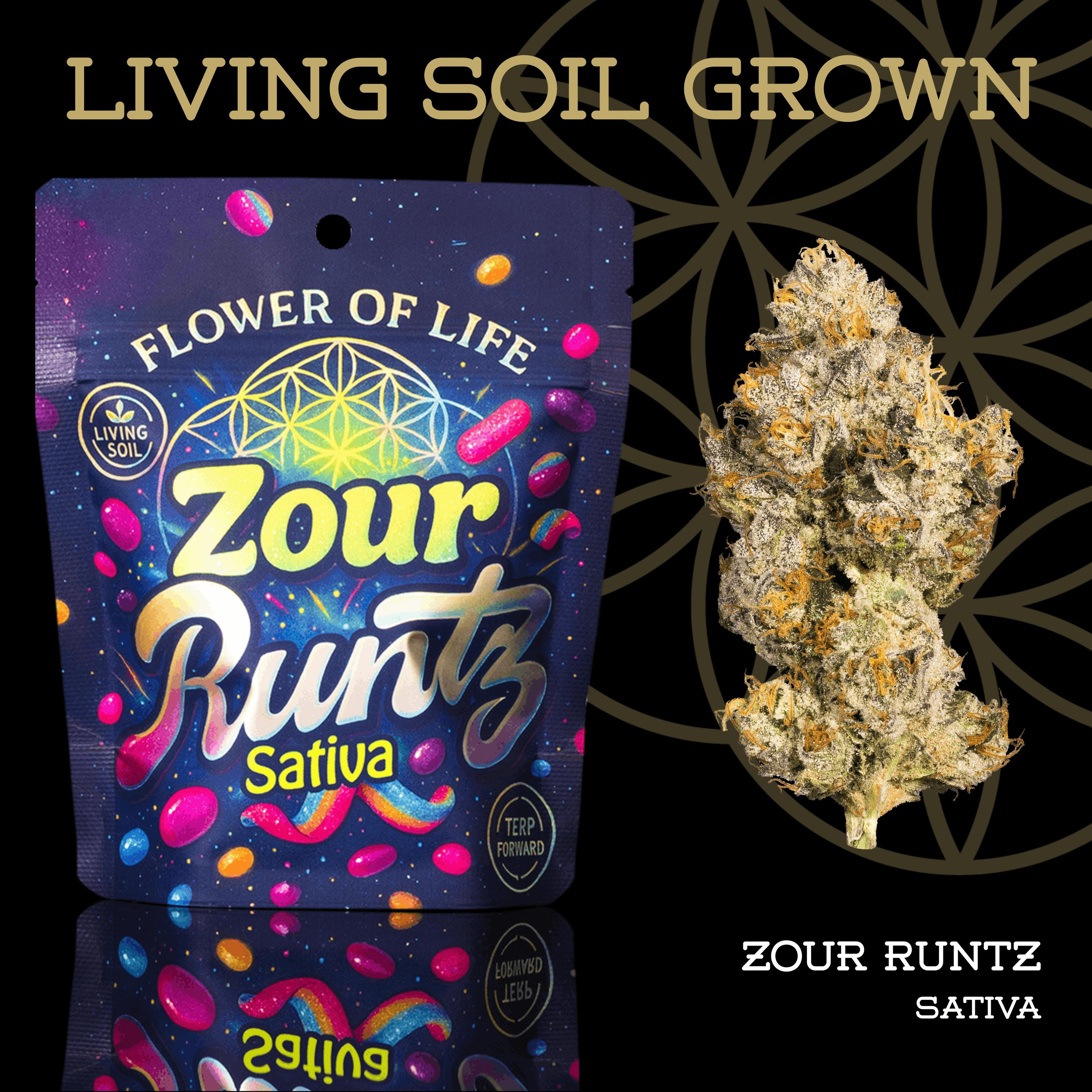 Zour Runtz | Prepack | Mylar Bag | Living Soil - Flower of Life