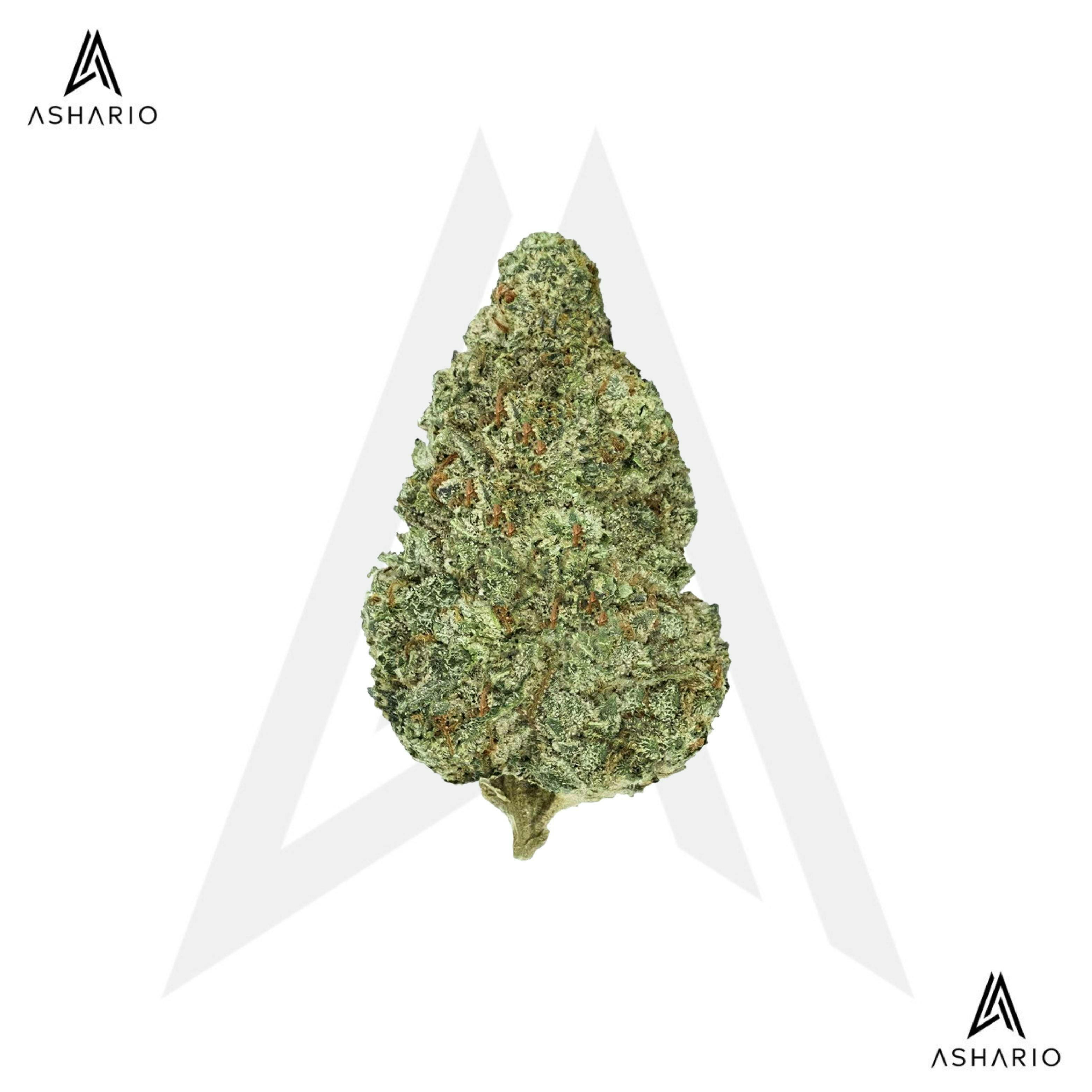 Back Forty | Chemzilla | Flower | 7g - Back Forty