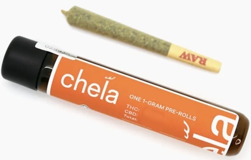 Chela | Hella Jelly | Joint | 1g - Chela