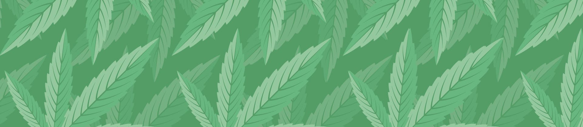 Grape Monster Weed Strain Information | Weedmaps