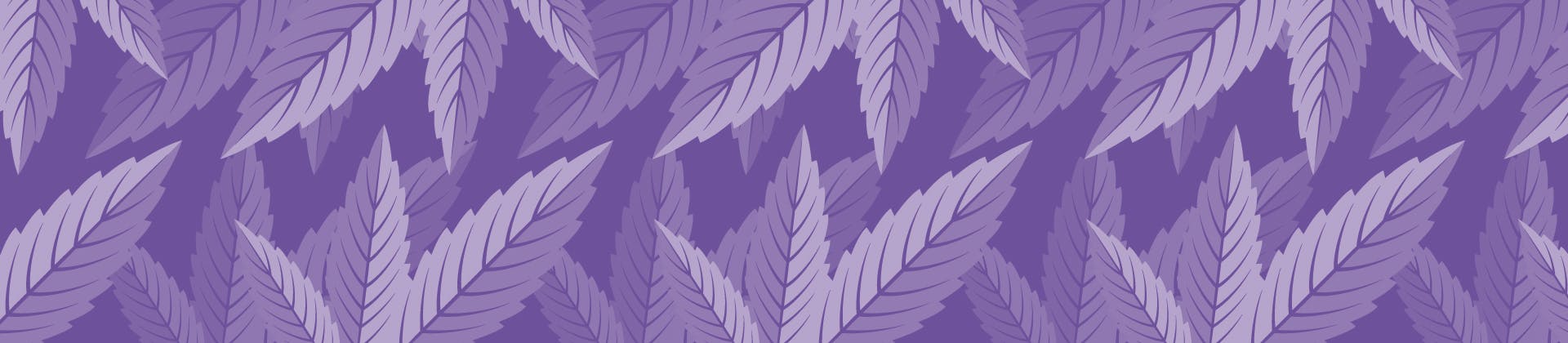 707 Kush Weed Strain Information | Weedmaps