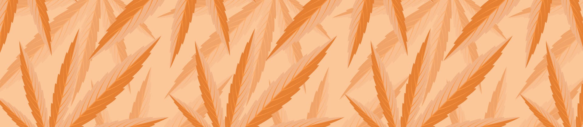 Dip’N Stix Weed Strain Information | Weedmaps