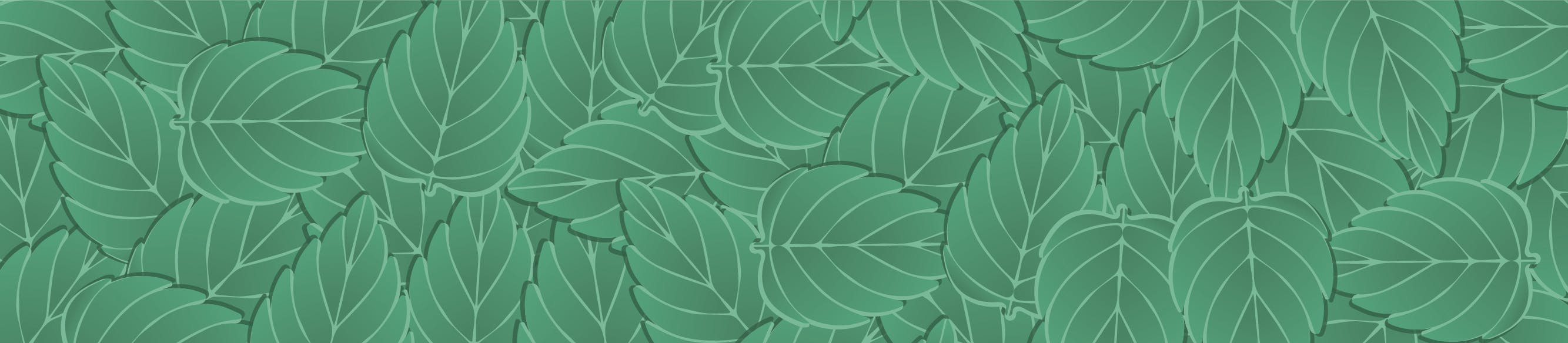 Kush Mints Weed Strain Information | Weedmaps