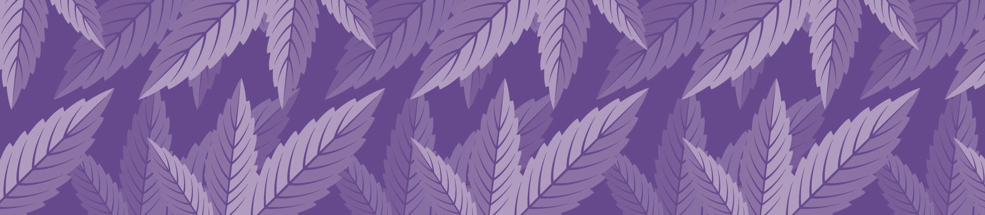 Sweet Cindy Weed Strain Information | Weedmaps