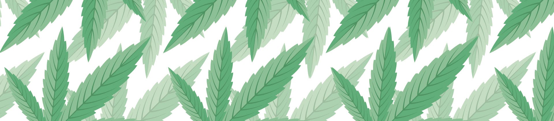 Slurpee Weed Strain Information | Weedmaps