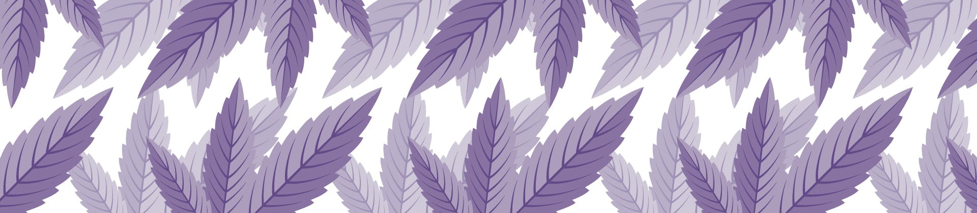 Crystal Weed Strain Information | Weedmaps