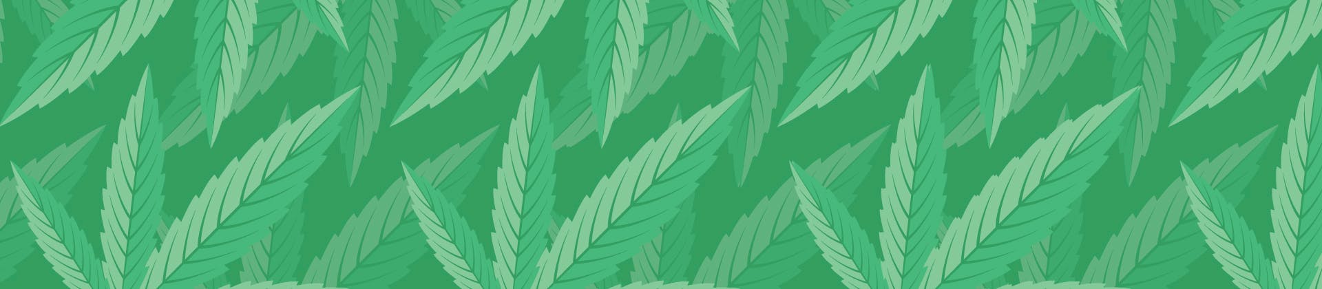 Papaya Punch Weed Strain Information | Weedmaps