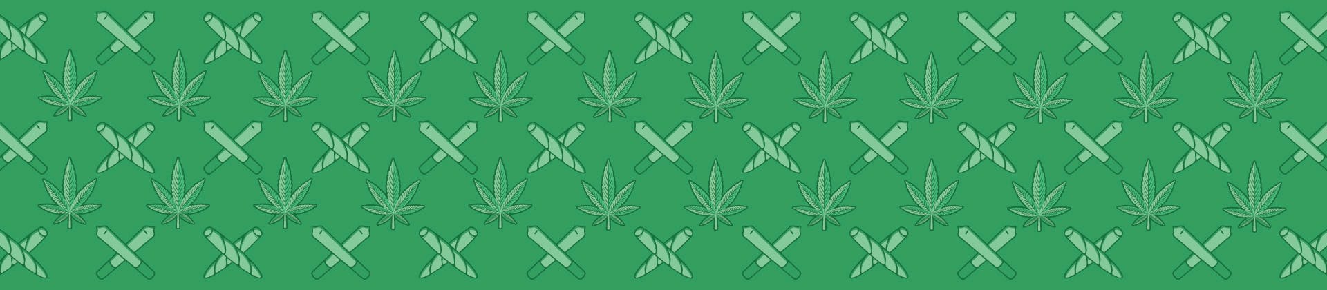 Jealousy Weed Strain Information | Weedmaps