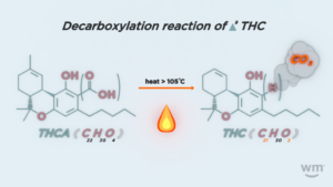 The Ultimate Guide to Decarboxylation: How to Decarb Weed