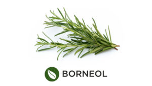 What is Borneol? Borneol Definition | Weedmaps