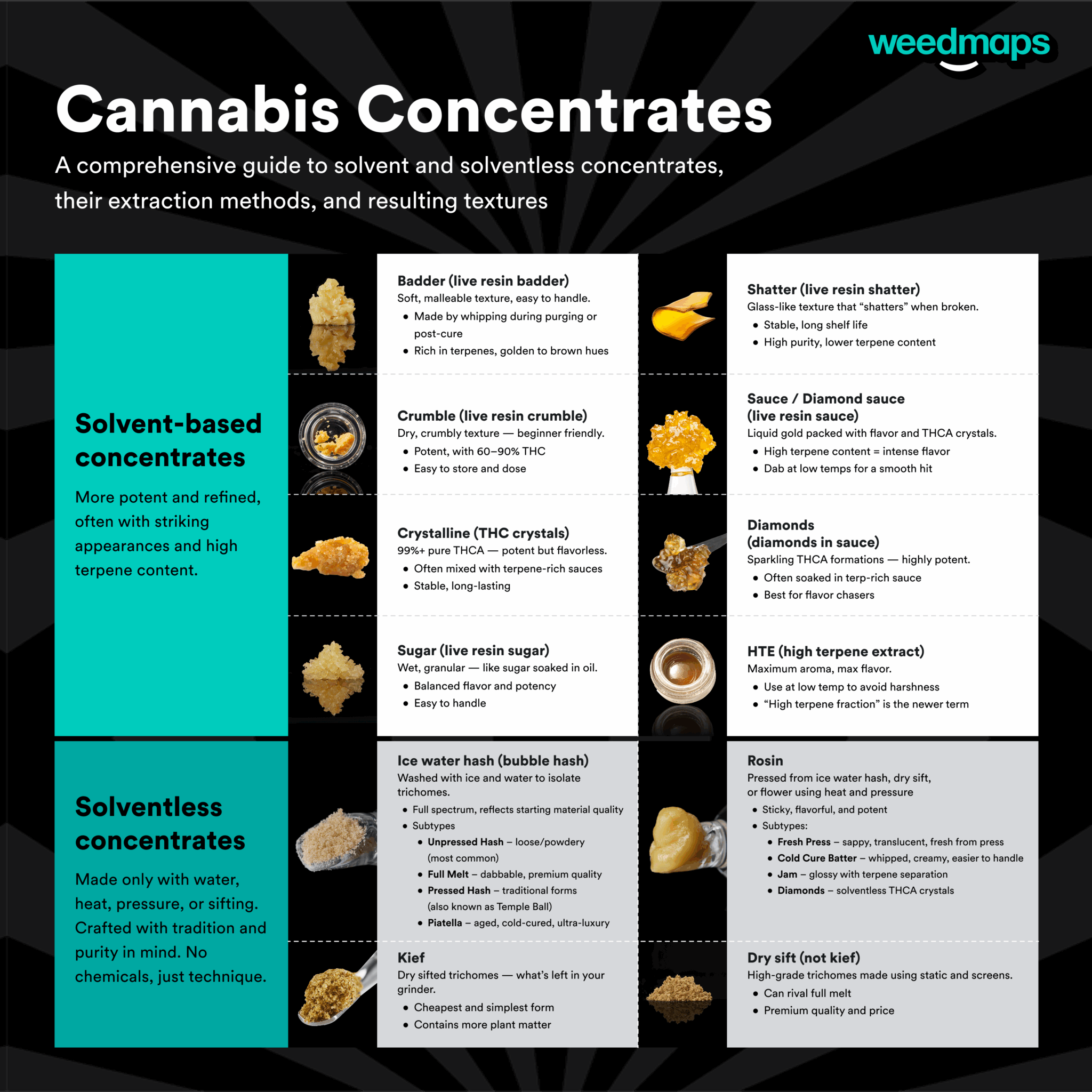 What is a Weed Concentrate? Cannabis Concentrates Guide | Weedmaps