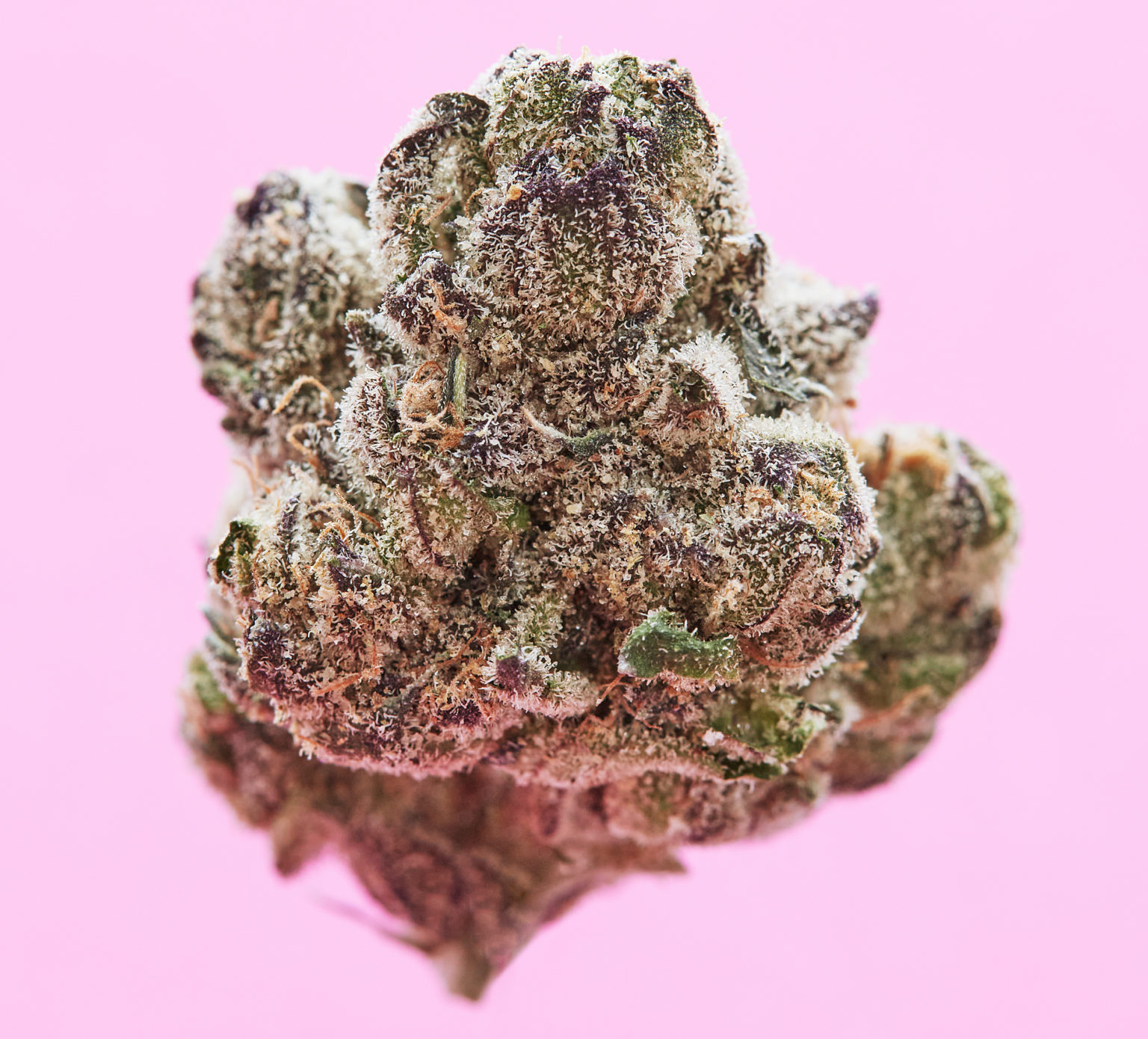 How to Cure Weed: Step-by-Step Guide | Weedmaps