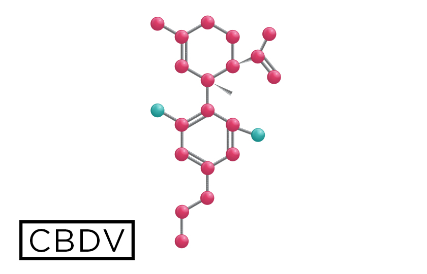 What Is Cbdv Cannabidivarin Definition Weedmaps