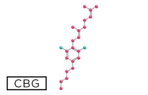 CBG: Benefits, risks, effects, and more | Weedmaps