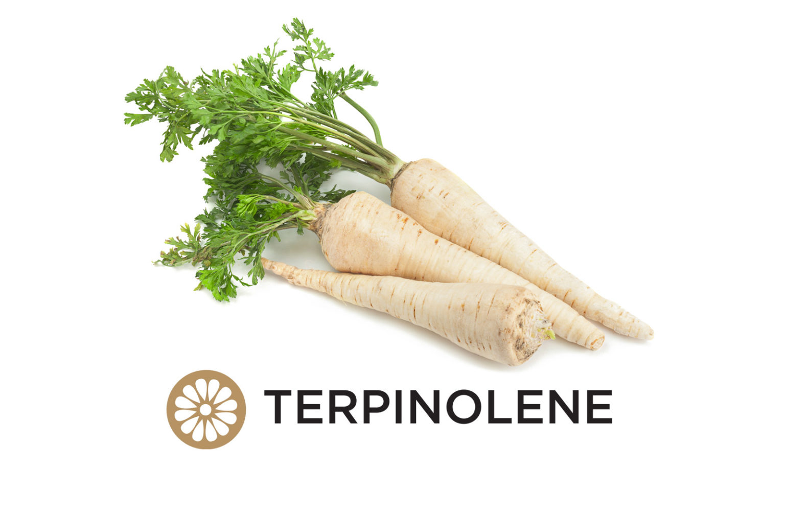 What are Terpenes? Terpene Definition | Weedmaps