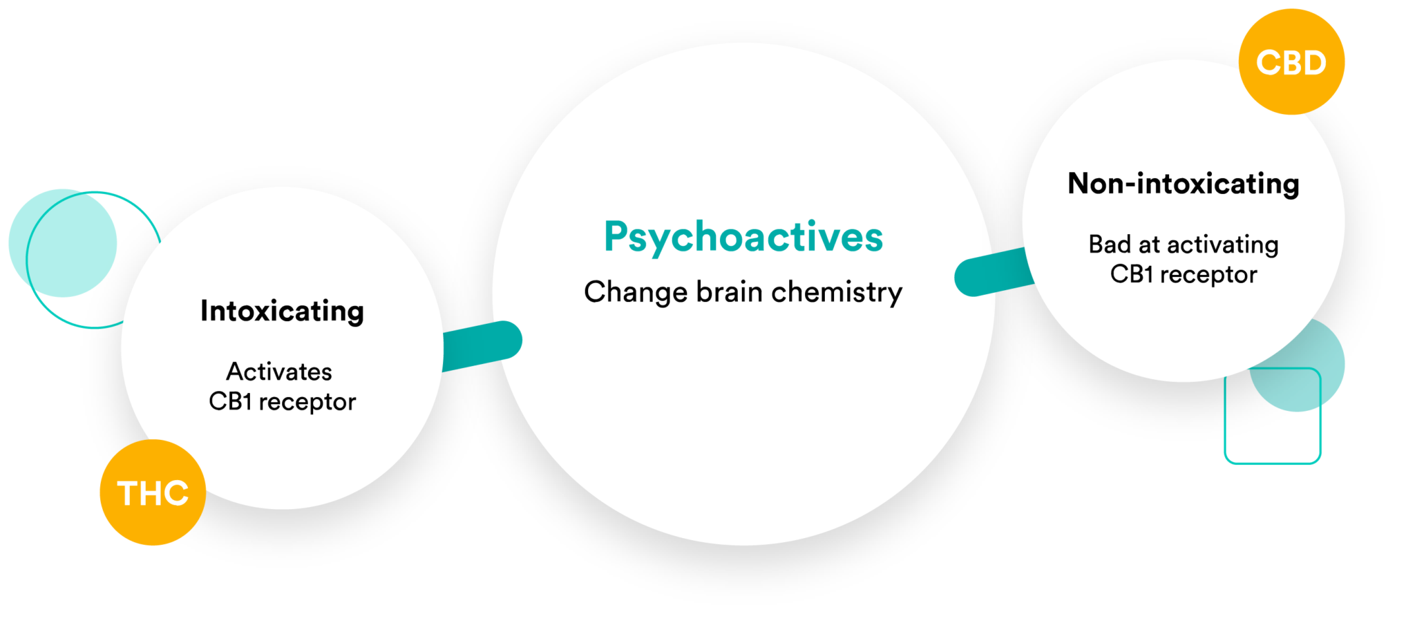 CBD Education - Learn About CBD | Weedmaps