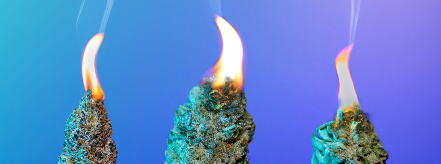 The Ultimate Guide to Decarboxylation: How to Decarb Weed