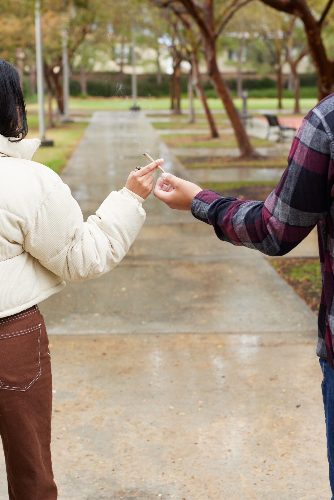 What Is A Thanksgiving Walk? Mastering the Art of Appetite Enhancement ...