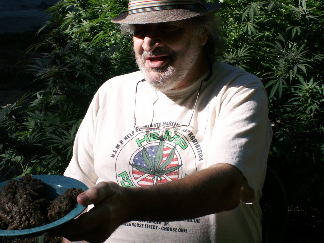 Who was Jack Herer? The cannabis activist behind the famous strain ...