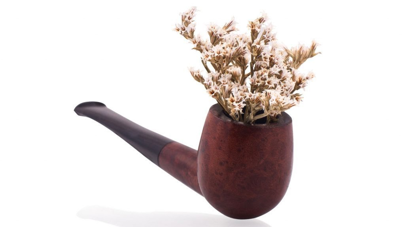 Smokable Herbs: Smoking Lavender, Mugwort & More | Weedmaps