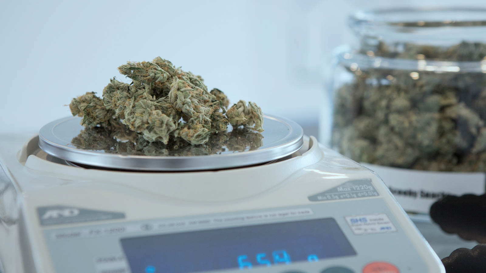 How to Get a Medical Marijuana Card in Washington