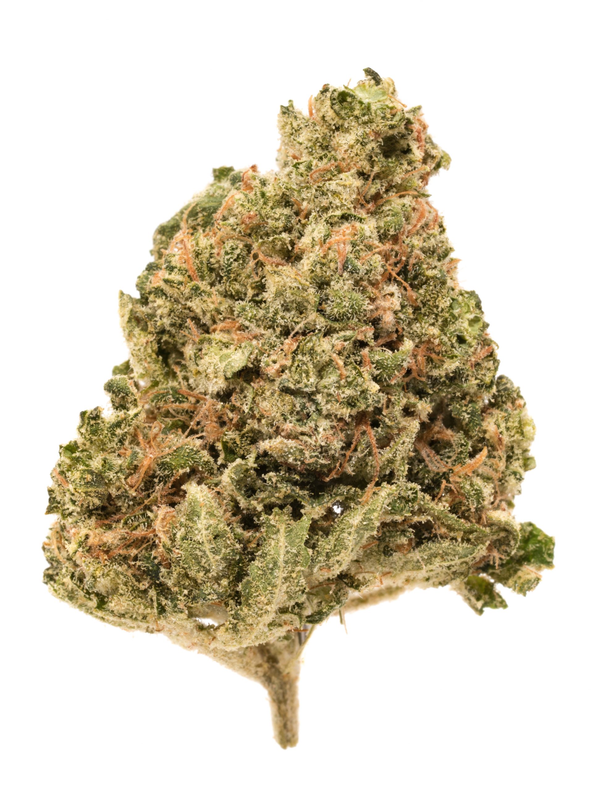 9 Halloween Weed Strains | Spooky Weed Strains | Weedmaps