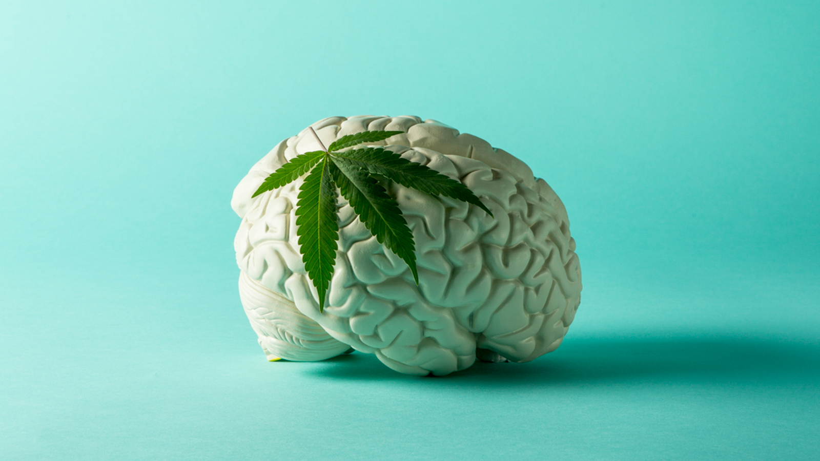 What Happens If You Smoke Weed Everyday LaptrinhX News What Happens If You Smoke Weed Everyday LaptrinhX News