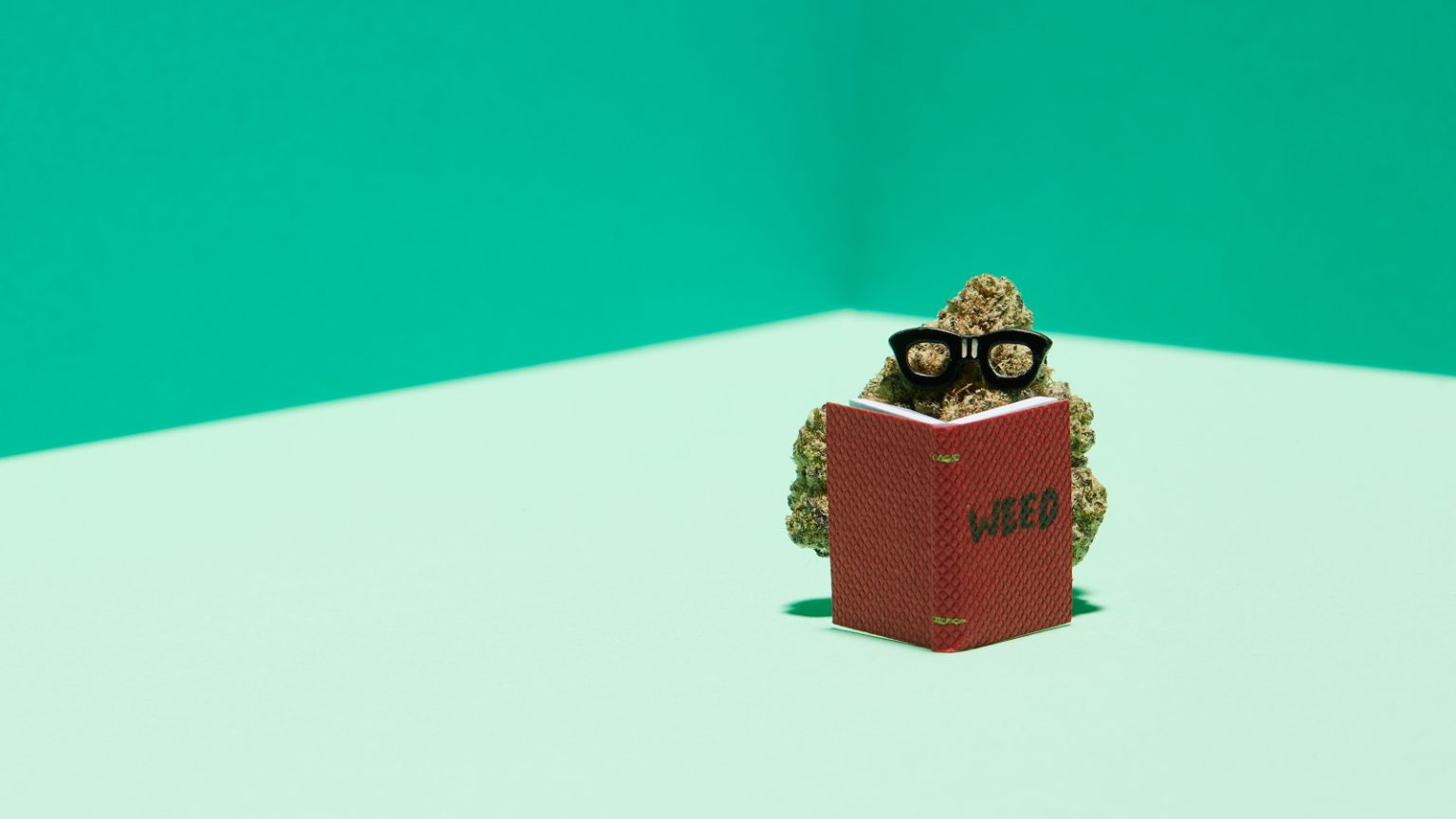 A guide to studying while high