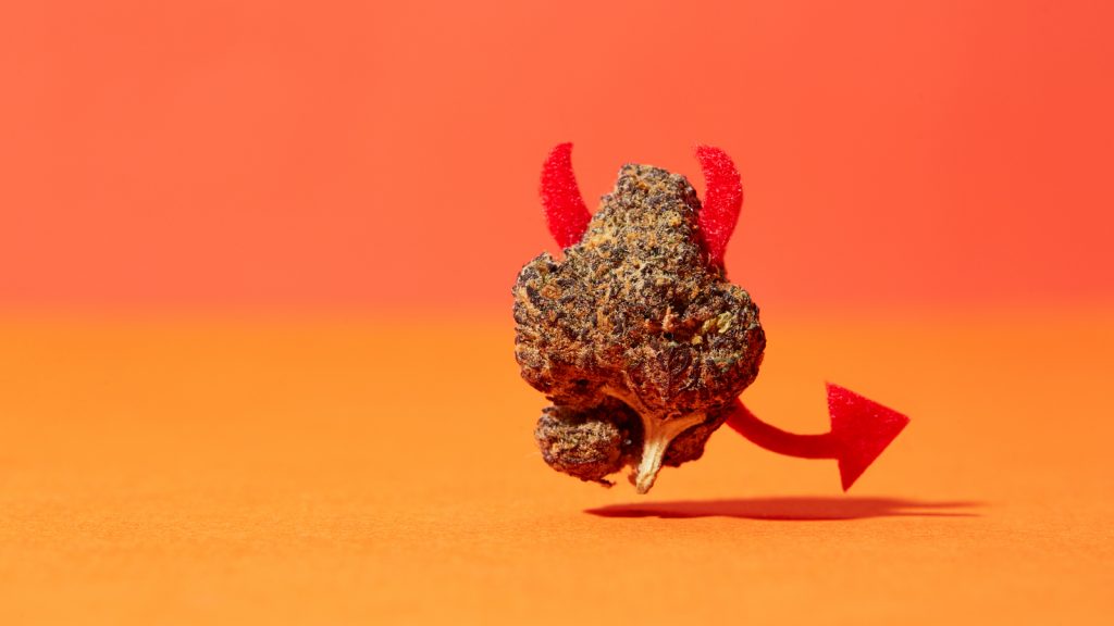 Why do people call weed the "Devil's Lettuce"?