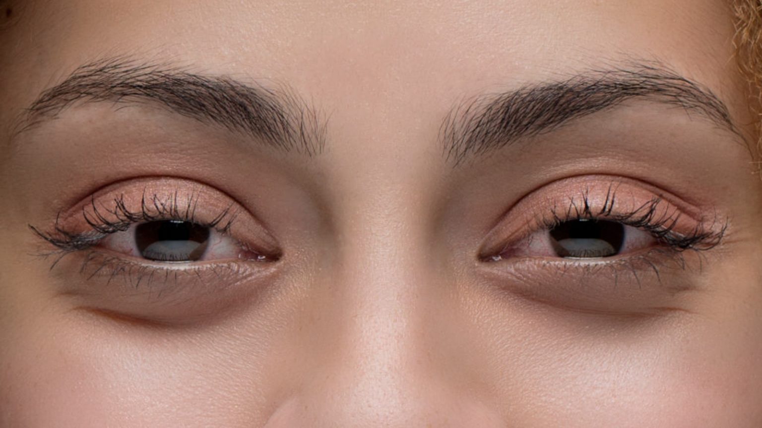 Explore the stoned spectrum, aka the 10 stages of being high