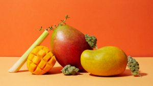 Mango and Weed: Does Mango Really Enhance Your High?