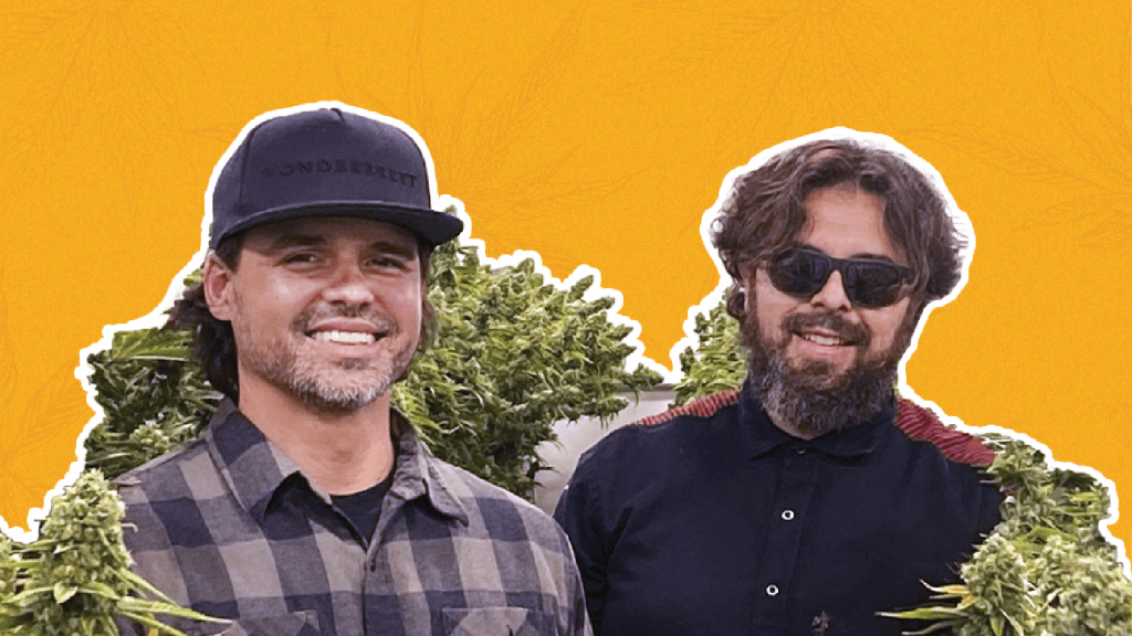 The strains that made Wonderbrett