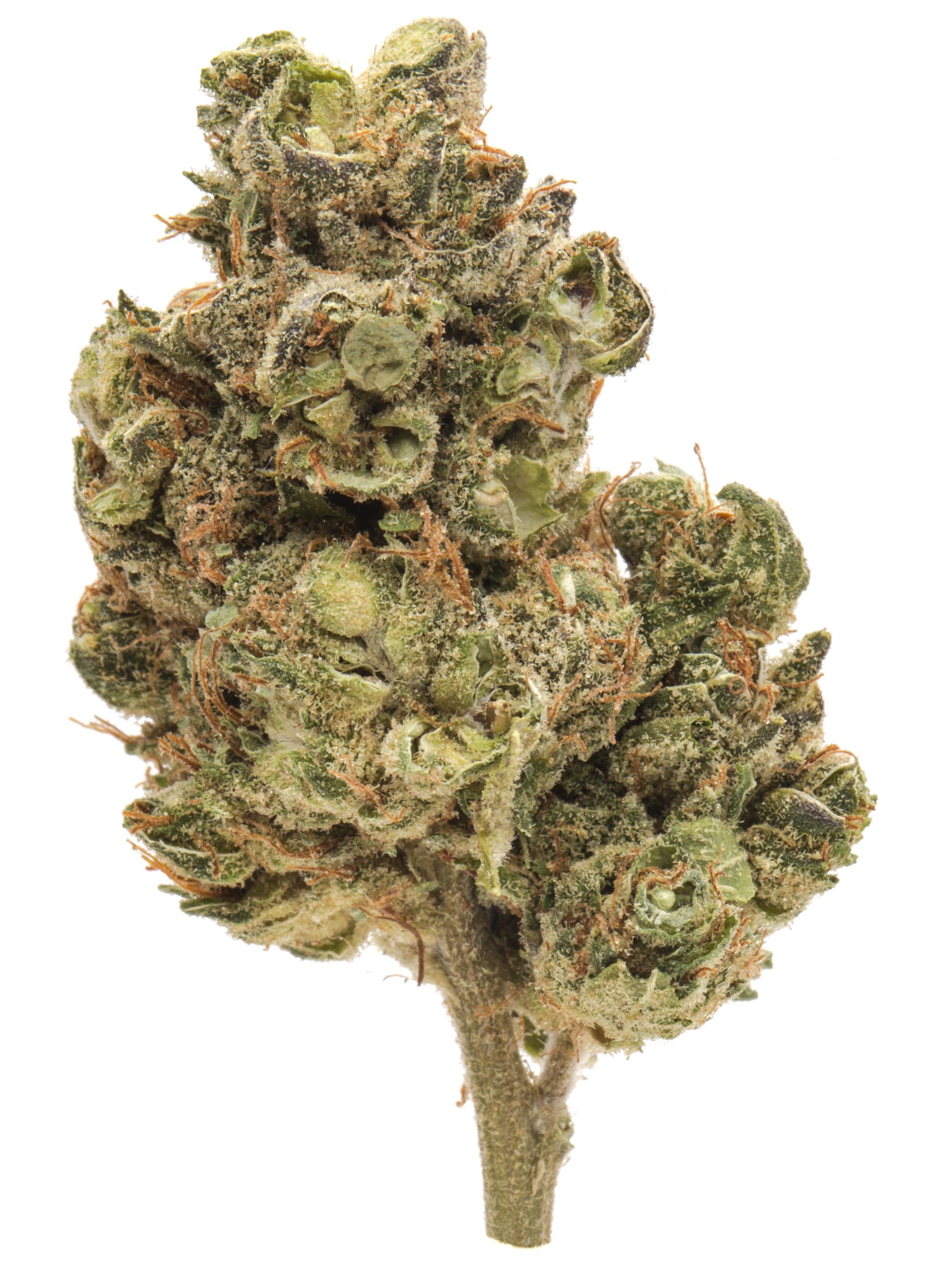 Zodiac Weed Strains: 6 Libra Strains You'll Love | Weedmaps