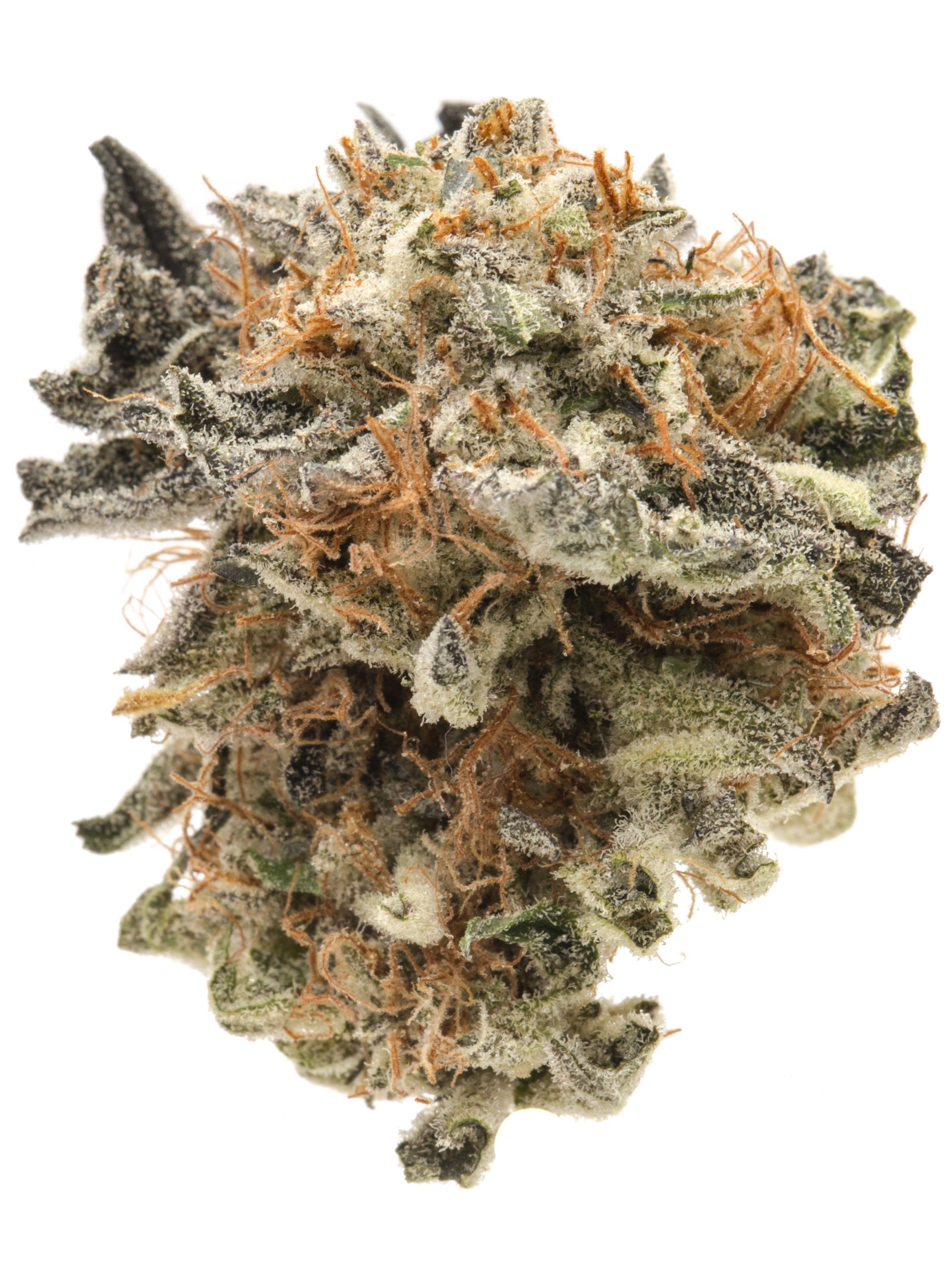 Zodiac Weed Strains: 6 Scorpio Strains You'll Love | Weedmaps