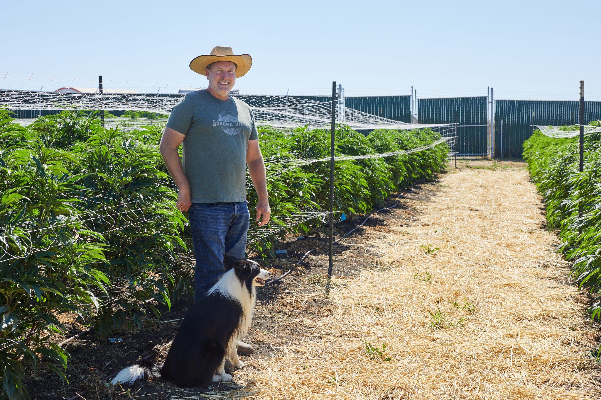 The Michelin-star weed experience at Sonoma Hills Farm