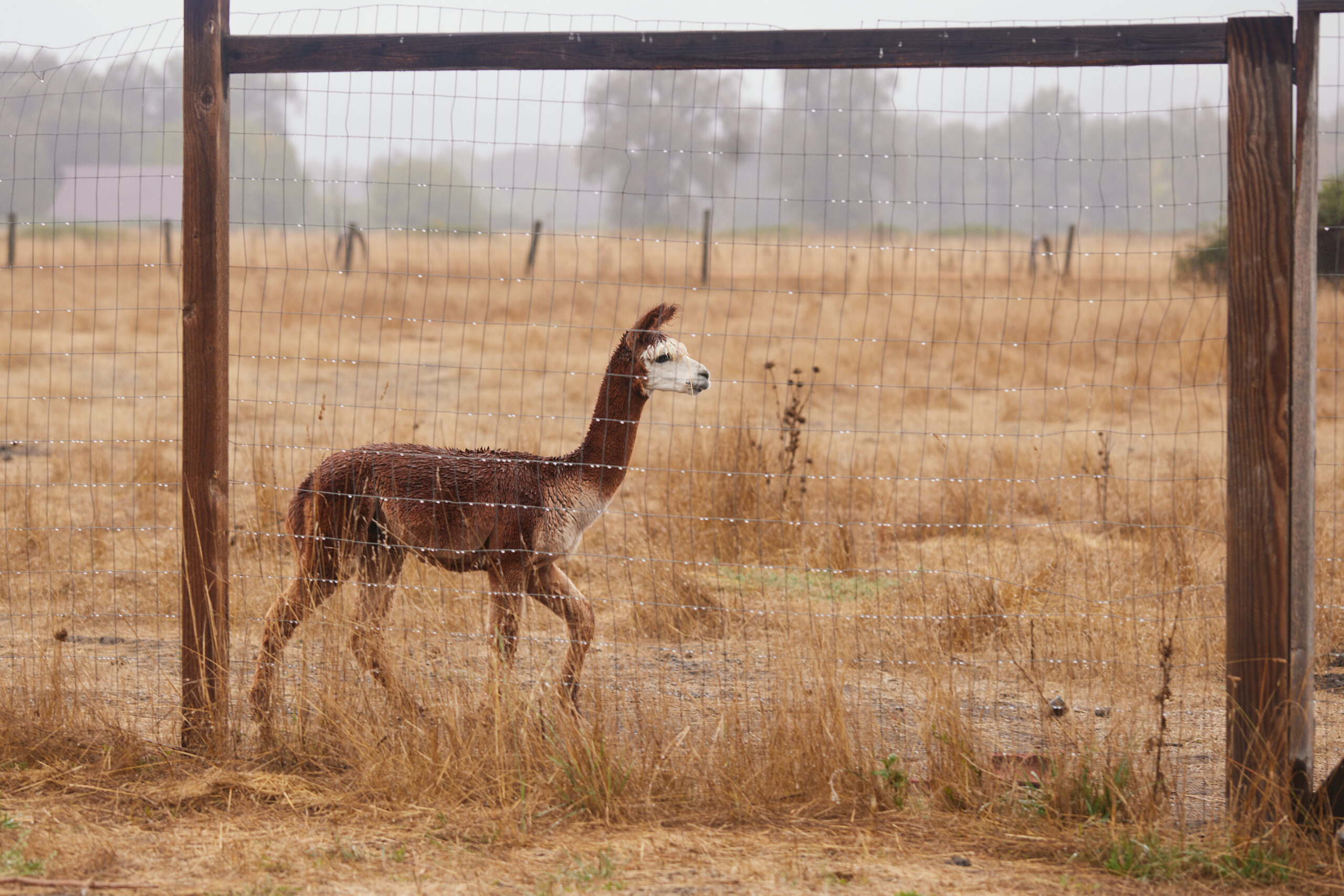 Sun Roots Farm: Organic farming and regenerative agriculture